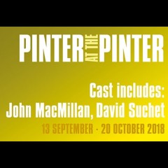 Pinter: The Lover/The Collection Tickets | Harold Pinter Theatre ...