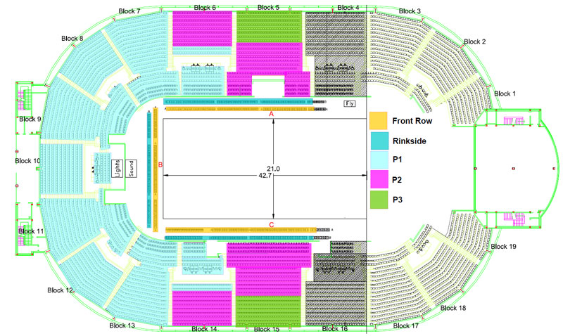 Disney On Ice celebrates 100 Years of Magic Tickets - Motorpoint Arena ...